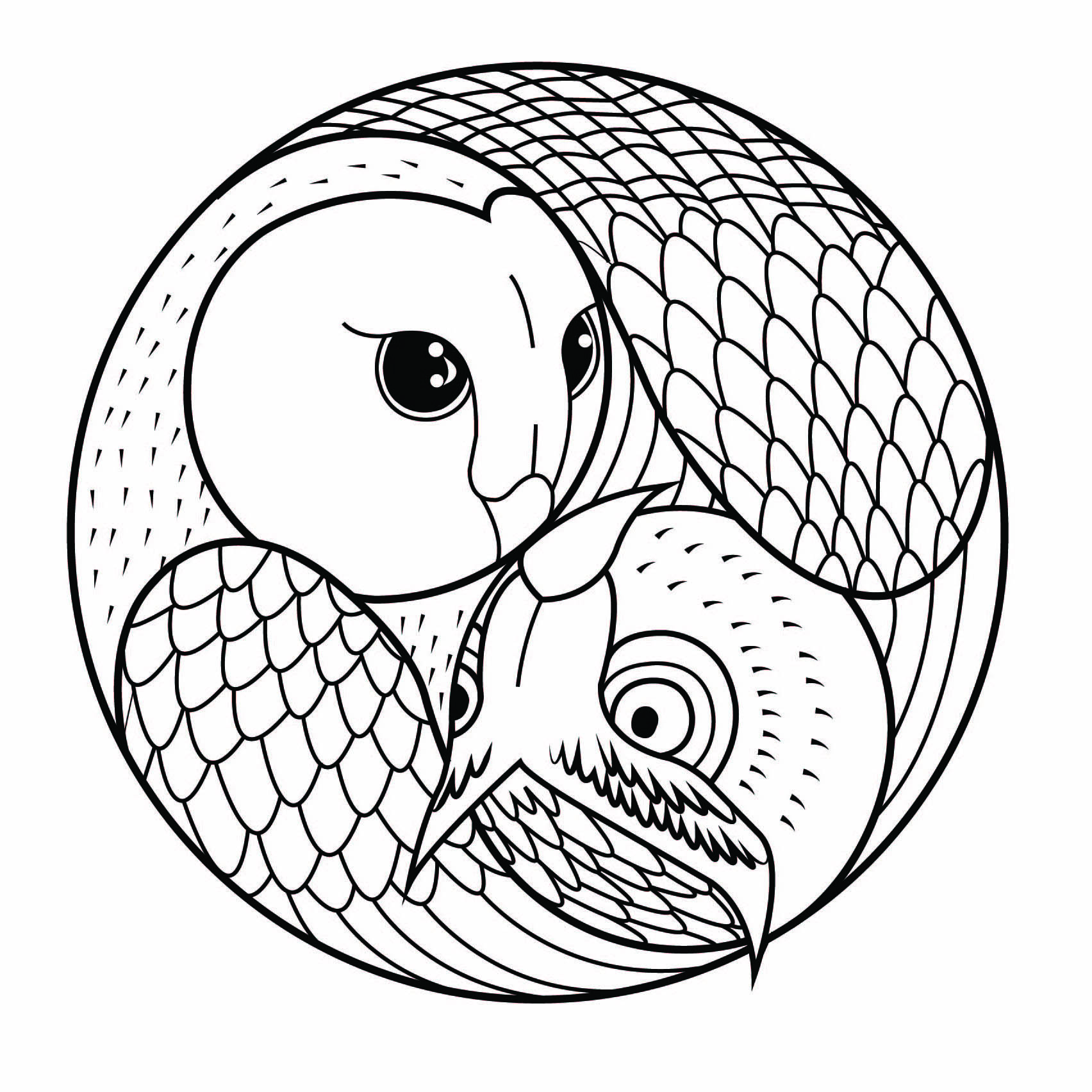 Mandala del búho - Animales